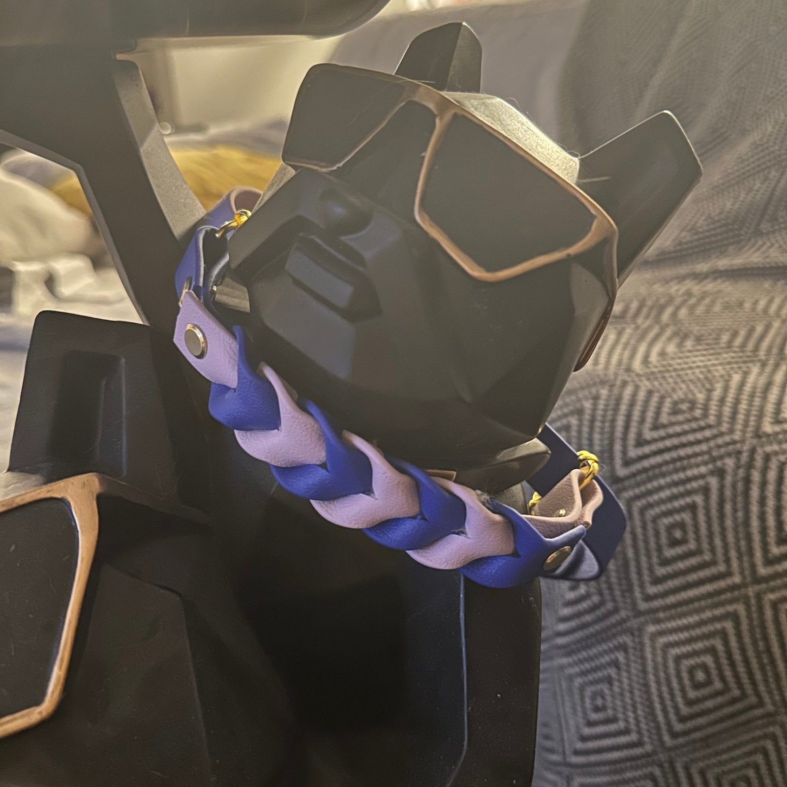 BarkNBall: Your Partner in Canine Athletics! | Ottawa, Canada – Bark N Ball